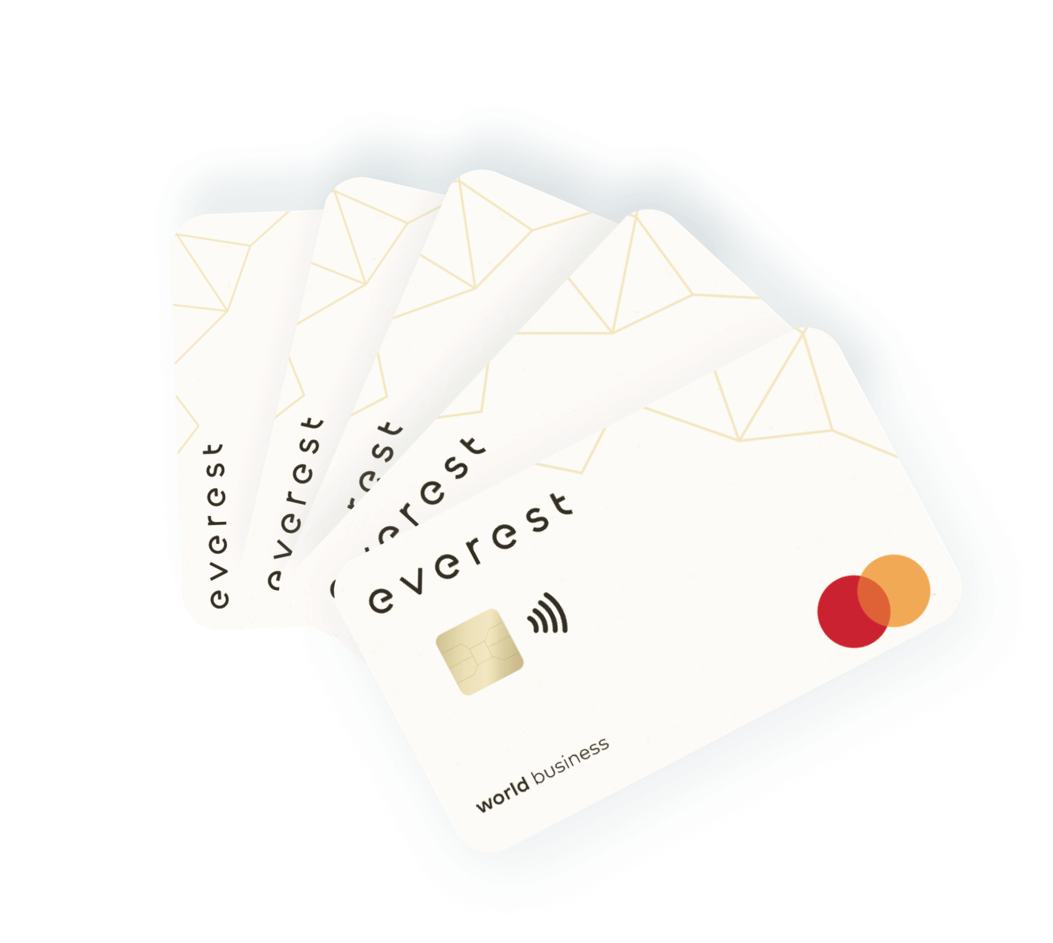 Alerts and controls – Everestcard